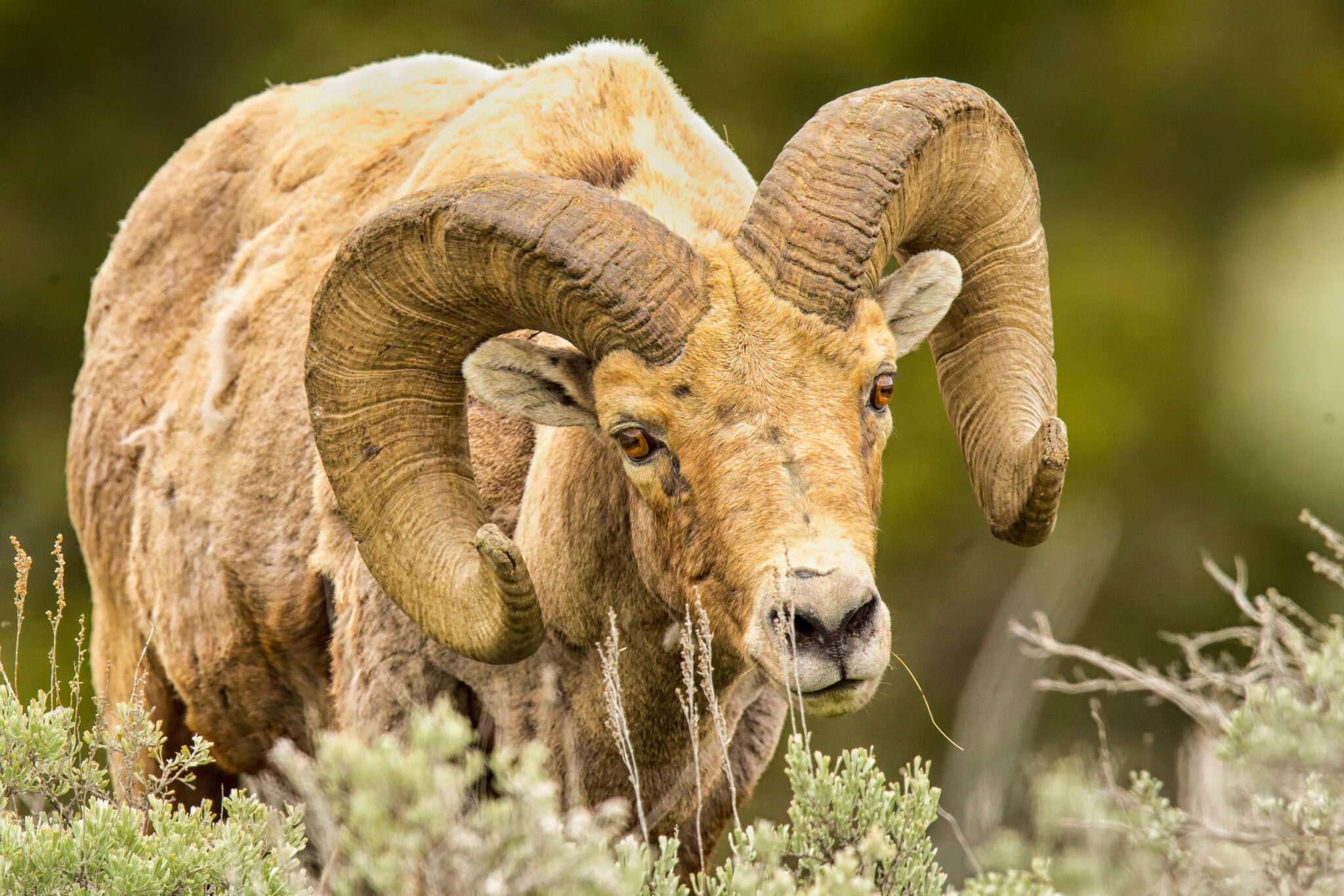 2025 Seminar Registration – EEID Forum